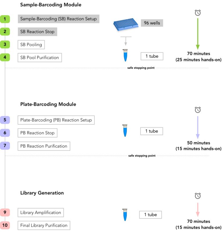 Multiplexed NGS libraries with plexWell 384 | seqWell