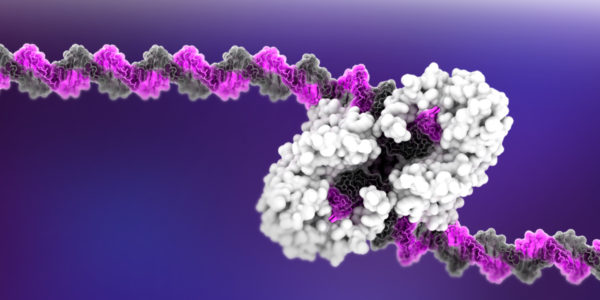 Tn5 Transposase: A Breakthrough Enzyme for DNA Library Preparation