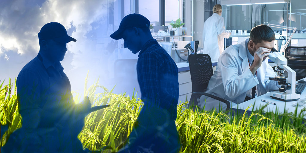 From Lab to Field: How Molecular Genotyping Improves Agriculture