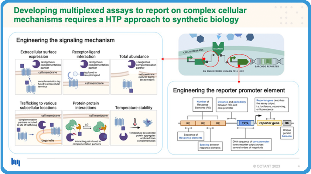 Enabling High-Throughput Biology with New Technologies for Synthetic Construct Sequencing