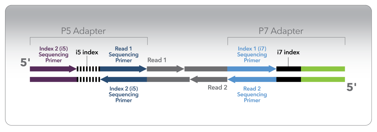 Getting a Read on NGS Barcodes
