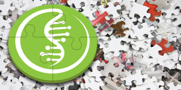 Highlighting the NGS “Method of the Year”: Long-Read Sequencing