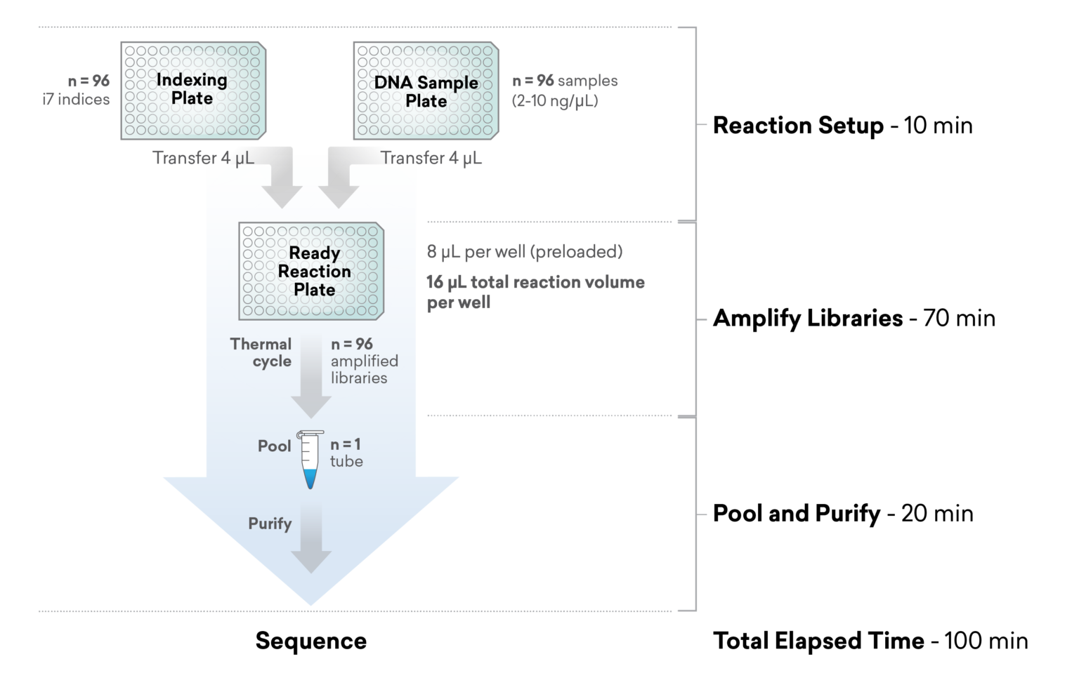 Transposase Technology: Power of True Multiplexing | seqWell