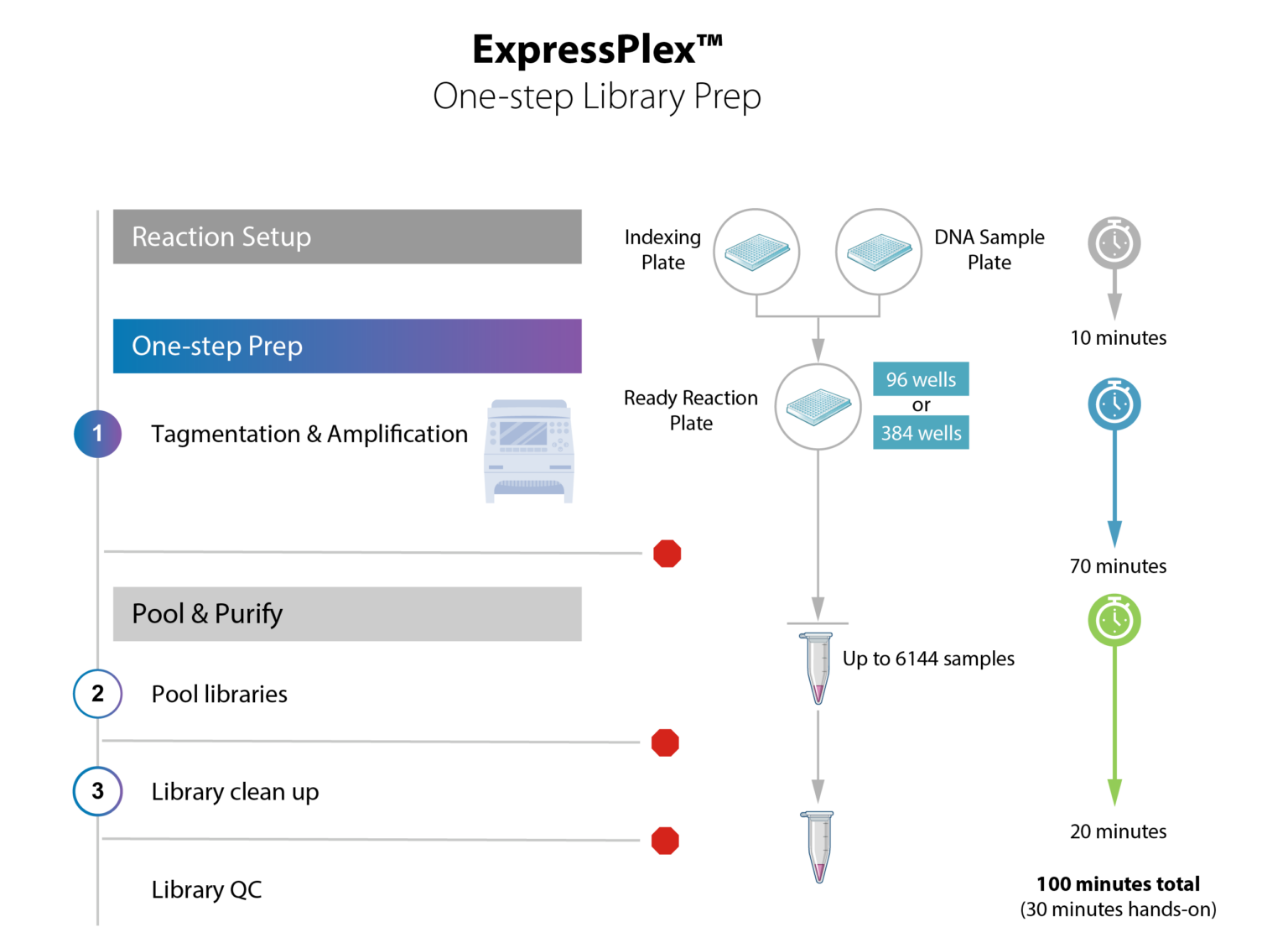 ExpressPlex 2.0 Library Preparation Kit