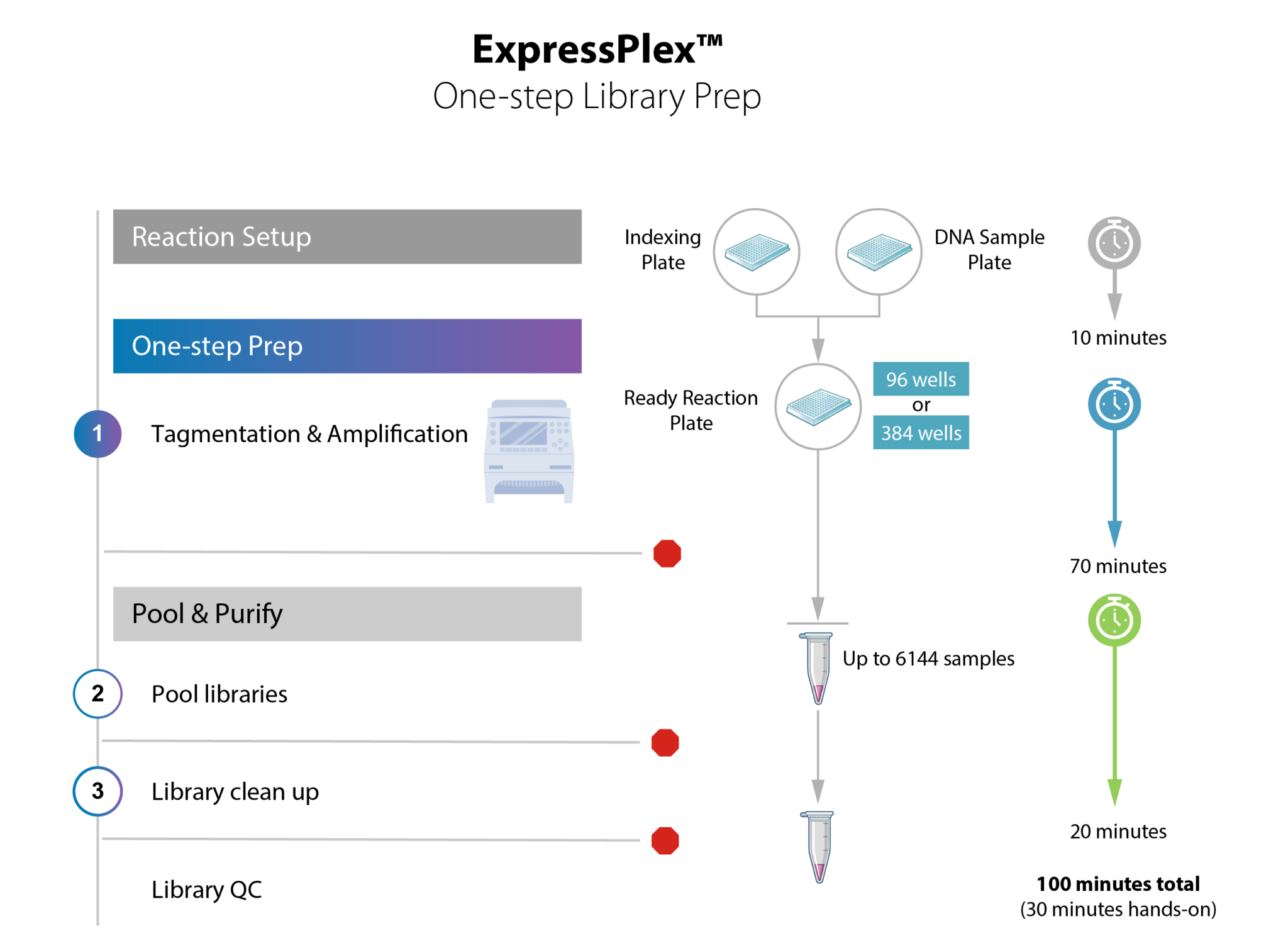 ExpressPlex 2.0 Library Preparation Kit