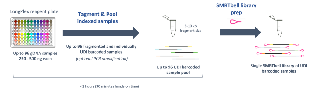 LongPlex Multiplexing Kit
